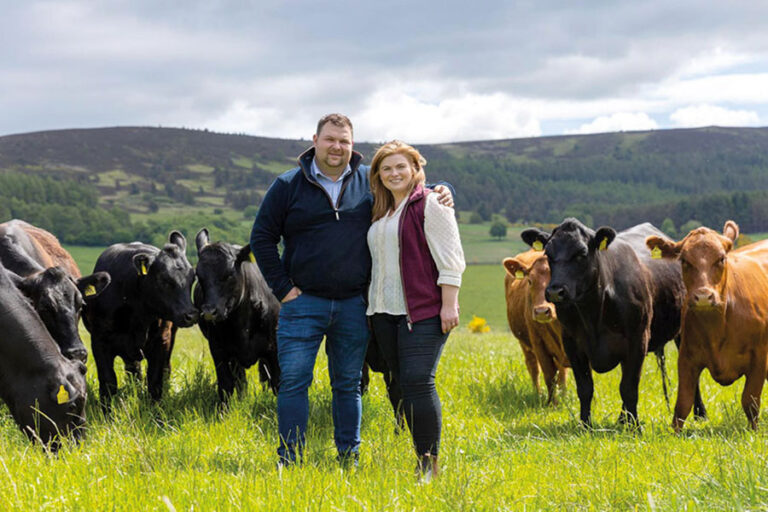 Maximise suckler margins with bull fertility testing - Farmers Guide