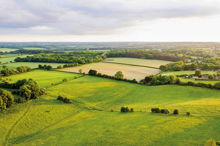 A closer look at the latest SFI offer - Farmers Guide