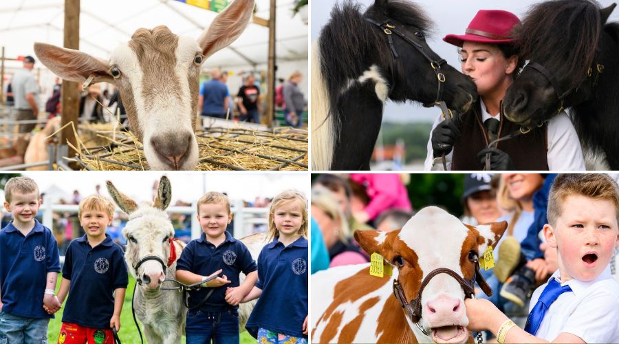 GALLERY: See best photos from Royal Highland Show 2024 - Farmers Guide