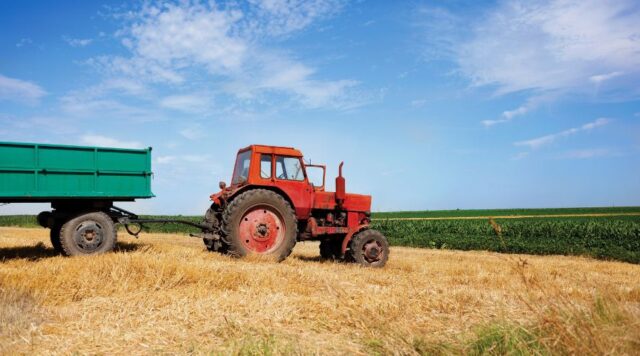 Farming community frustrated as New Zealand lamb hits Morrisons ...