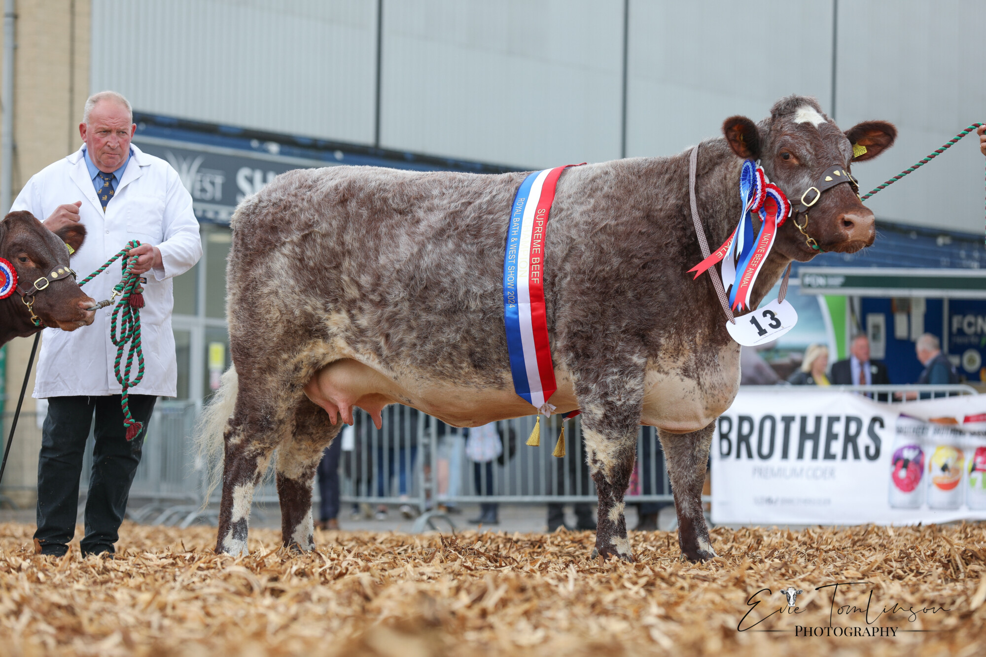 The Royal Bath & West Show featured calibre of livestock - Farmers Guide