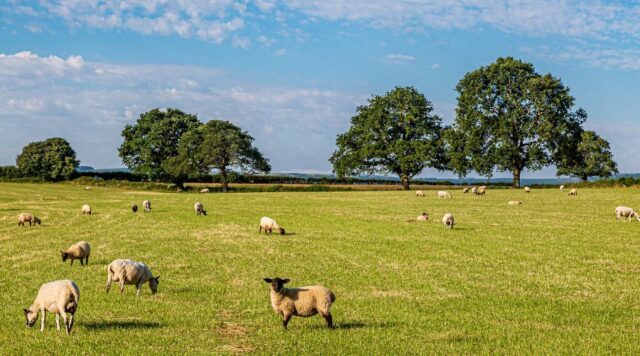 Farm theft - is your farm secure? - Farmers Guide