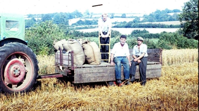 What did harvest look like in the 50s, 60s and 70s? - Farmers Guide