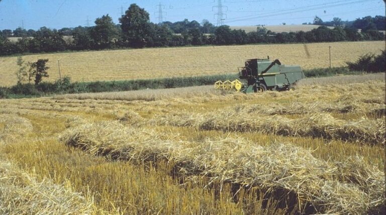 What did harvest look like in the 50s, 60s and 70s? - Farmers Guide