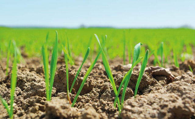Data points to an alarming drop in soil pH - Farmers Guide