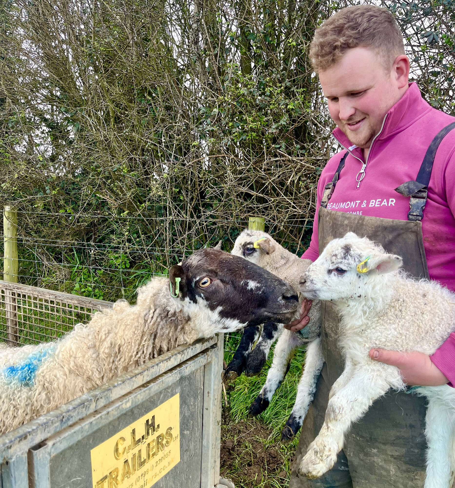 Cornish farmer shares top tupping tips - Farmers Guide