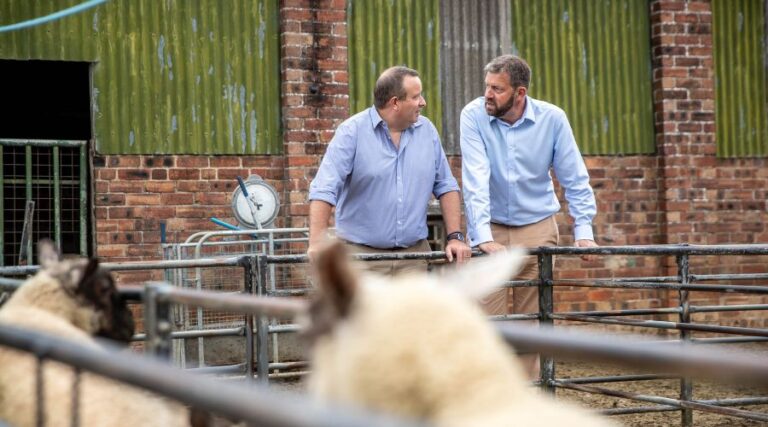 Farmers' profits cut in half with new delinked payments - Farmers Guide