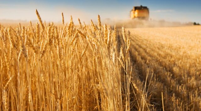 Cereals Event 2025 returns with 400 exhibitors - Farmers Guide