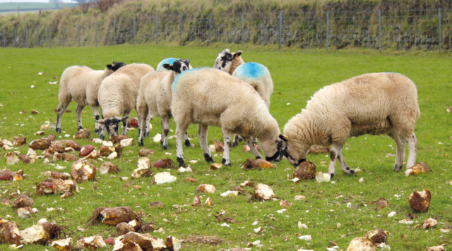 England suffers second worst harvest on record - Farmers Guide