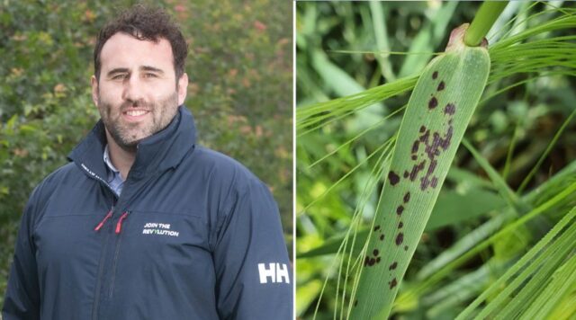 England suffers second worst harvest on record - Farmers Guide