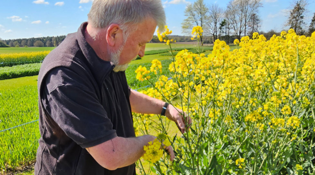 Hemp growing a “viable diversification” for British farms - Farmers Guide