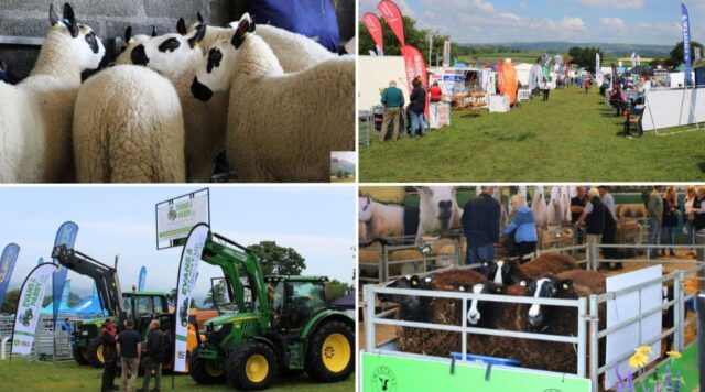 GALLERY: Can you spot yourself in photos from NSA Welsh Sheep show 2025 ...