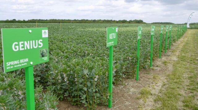 New free-to-use integrated pest management (IPM) tool launches ...