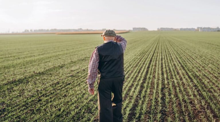 DEFRA criticised for sharp fall in delinked payments - Farmers Guide