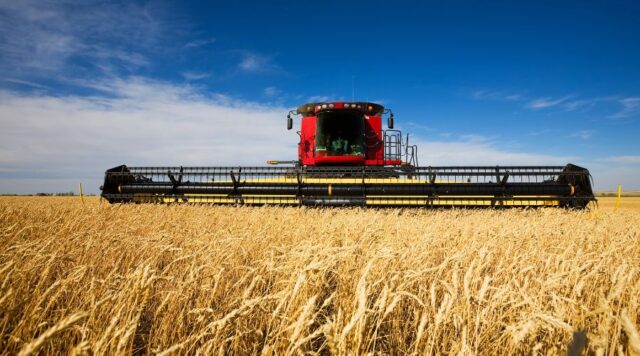 Luximo herbicide active substance approved in GB - Farmers Guide