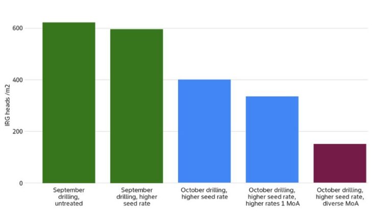 Bayer: Weed out uncertainty with a diverse herbicide programme - Farmers Guide